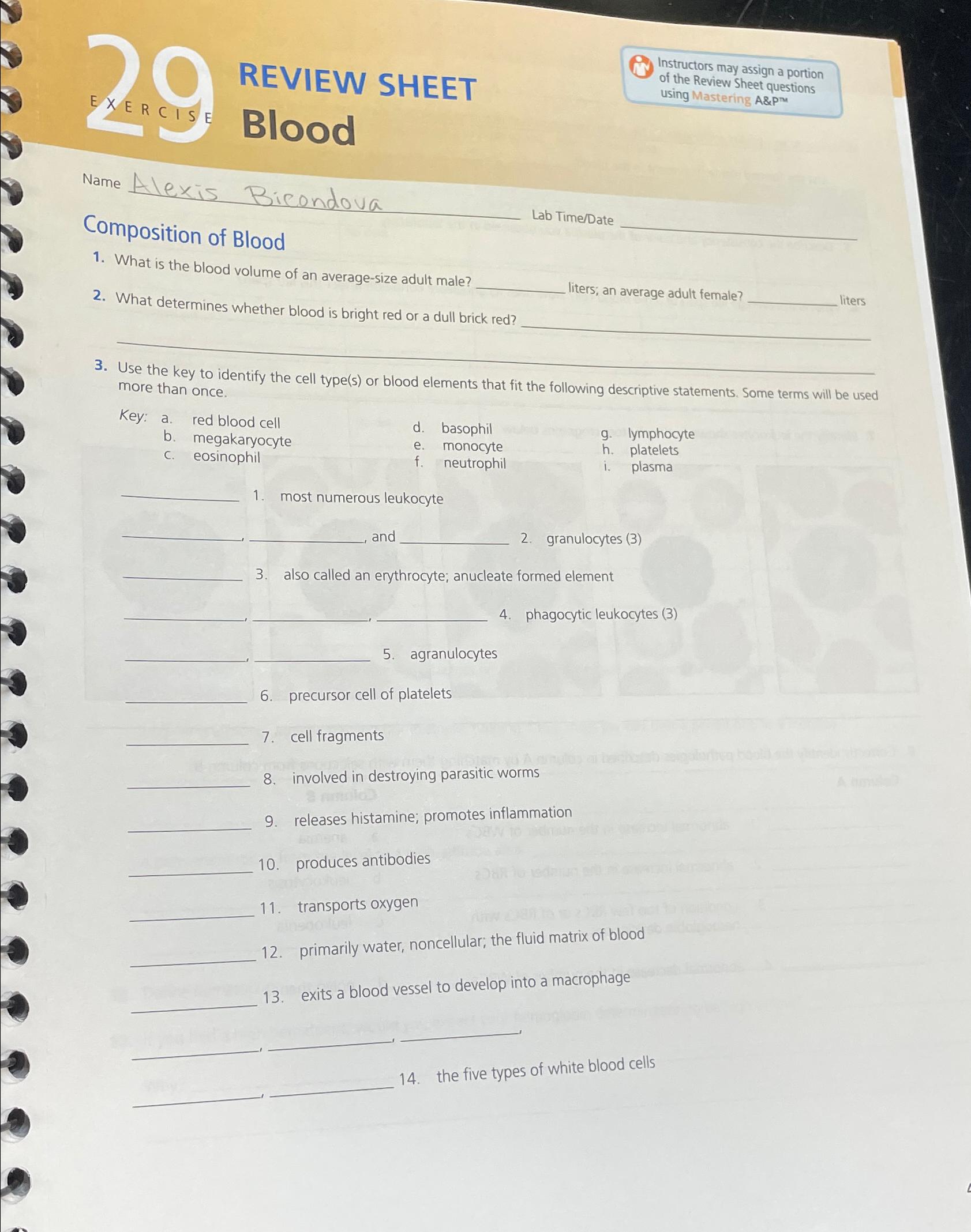 Solved REVIEW SHEETInstructors may assign a portionof the | Chegg.com