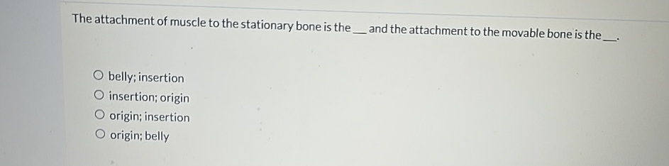 Solved The attachment of muscle to the stationary bone is | Chegg.com