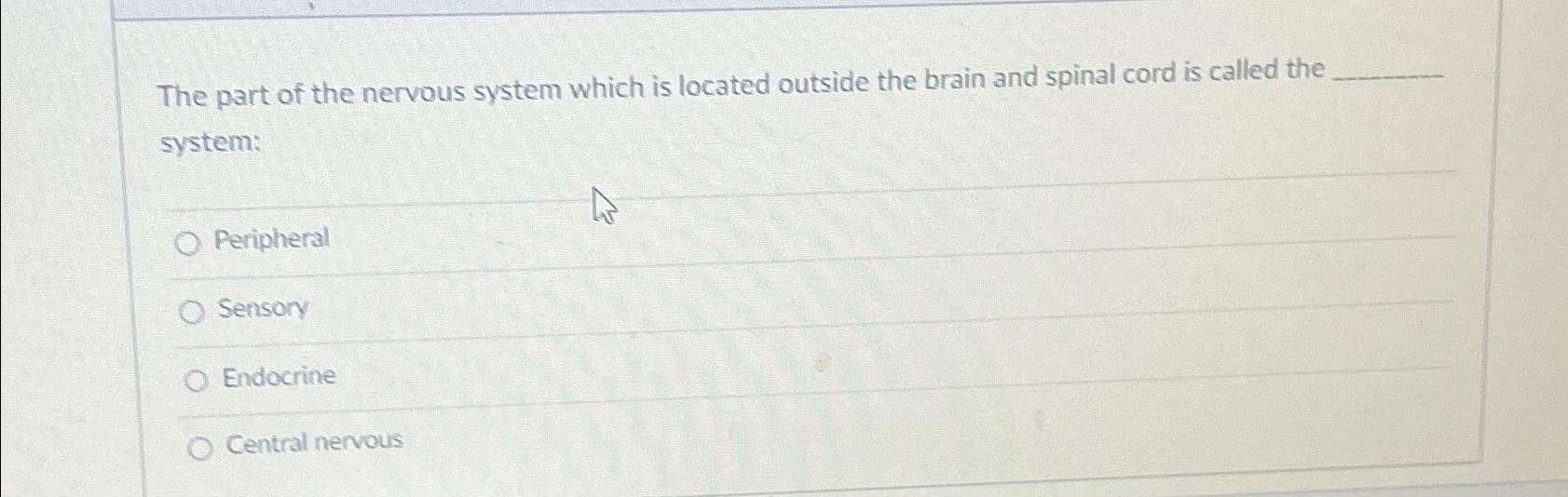 Solved The part of the nervous system which is located | Chegg.com