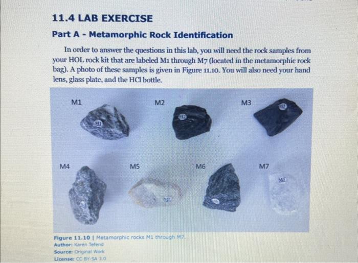 Solved 11.4 LAB EXERCISE Part A - Metamorphic Rock | Chegg.com