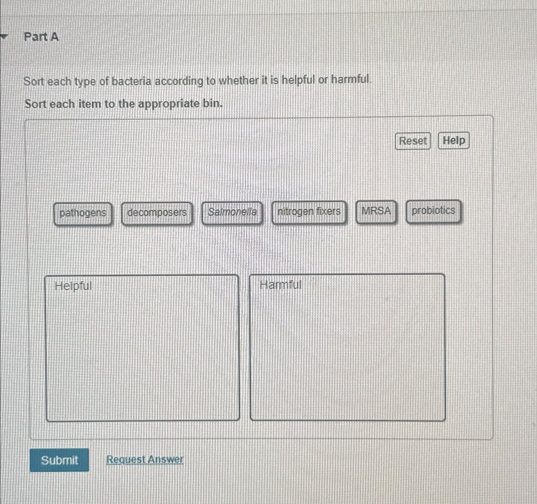 Solved Part ASort each type of bacteria according to whether | Chegg.com