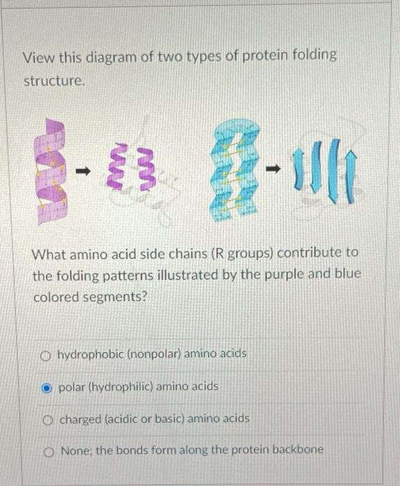 Solved View this diagram of two types of protein folding | Chegg.com