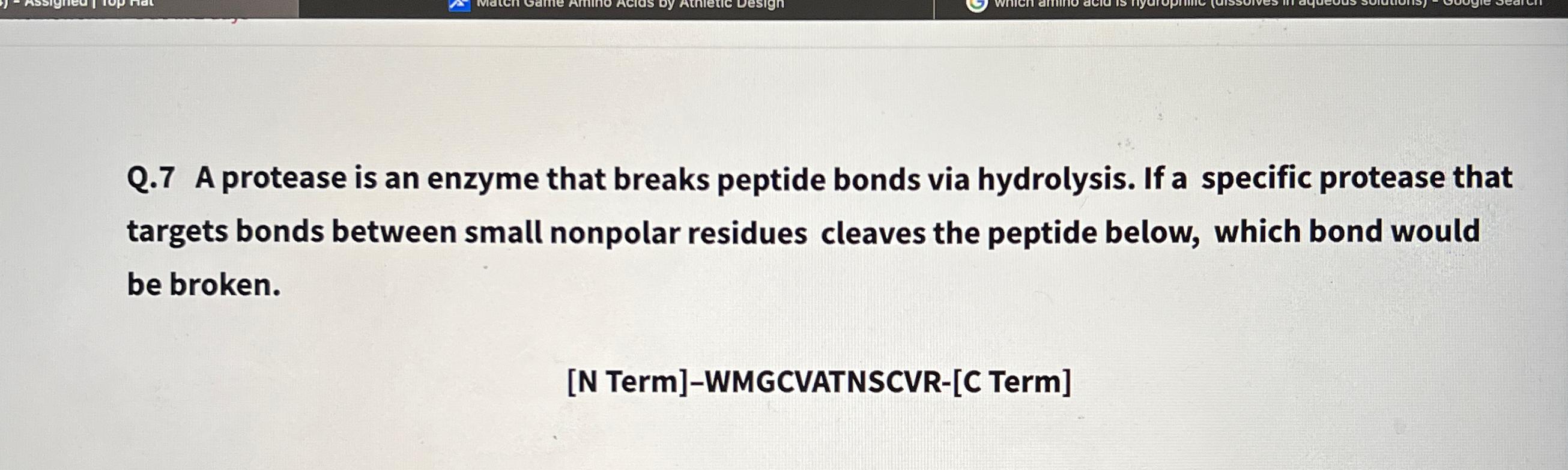 Solved Q. 7 ﻿A protease is an enzyme that breaks peptide | Chegg.com