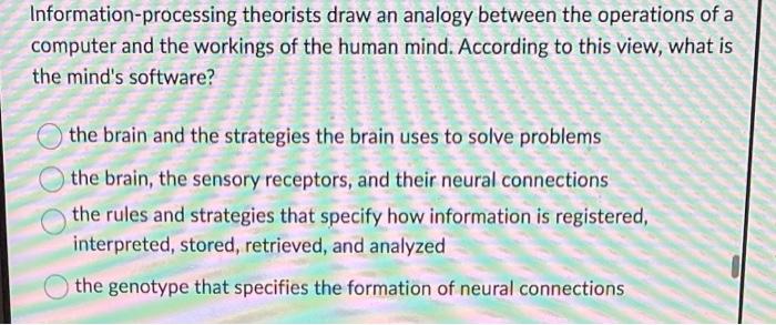 Solved Information-processing theorists draw an analogy | Chegg.com