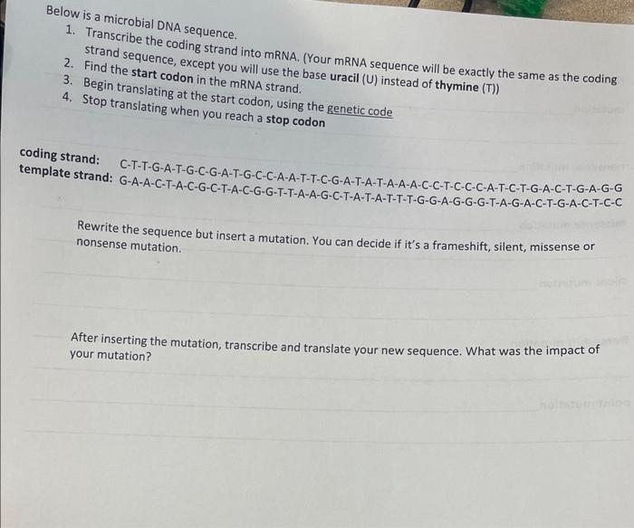 Solved Below is a microbial DNA sequence. 1. Transcribe the | Chegg.com