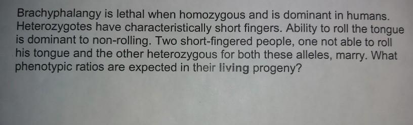 Solved Brachyphalangy is lethal when homozygous and is | Chegg.com
