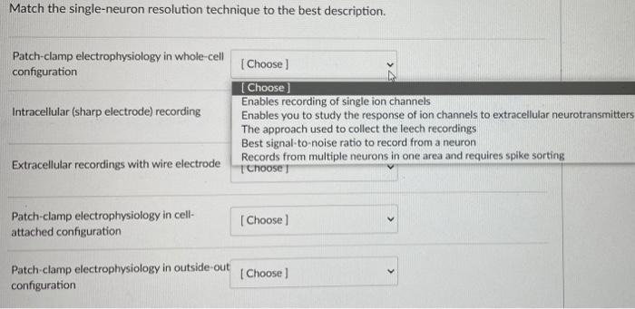Solved Match the single-neuron resolution technique to the | Chegg.com