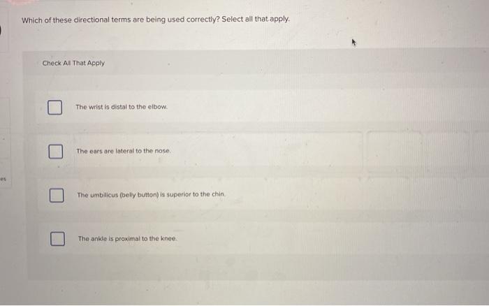 solved-which-of-these-directional-terms-are-being-used-chegg