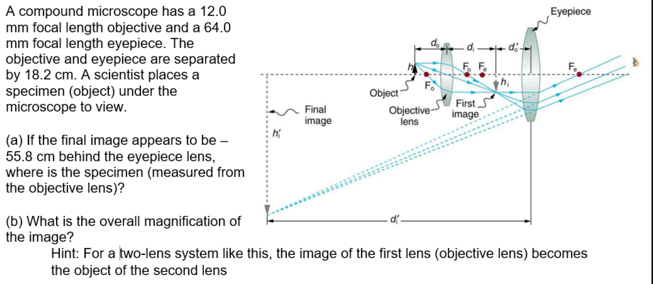 Solved A compound microscope has a 12.0 ﻿mm focal length | Chegg.com