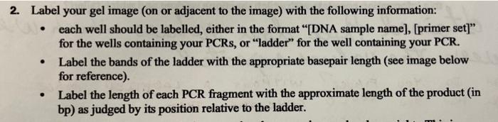 2. Label your gel image (on or adjacent to the image) | Chegg.com