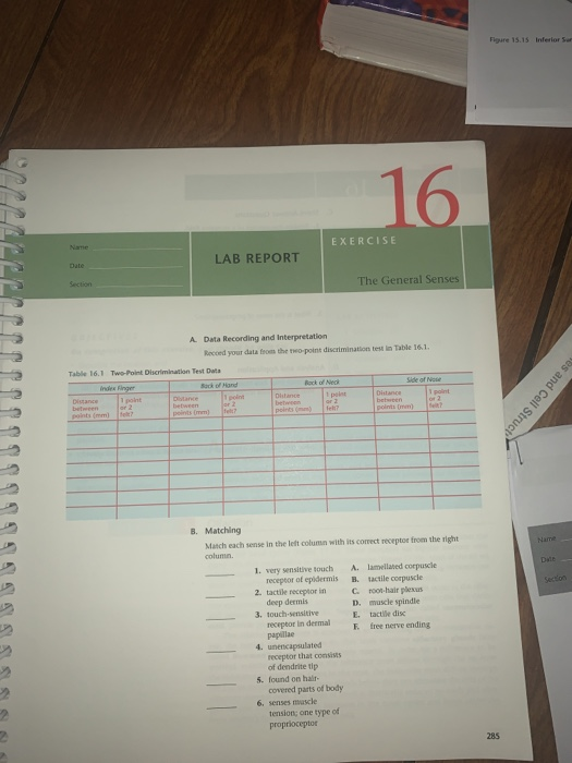 Solved EXERCISE LAB REPORT Date The General Senses A Data | Chegg.com