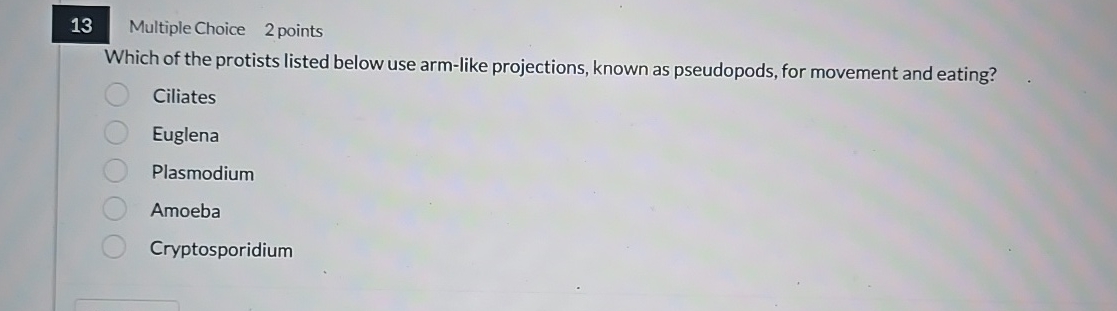 Solved 13Multiple Choice 2 pointsWhich of the protists | Chegg.com Solved 13Multiple Choice 2 pointsWhich of the protists | Chegg.com