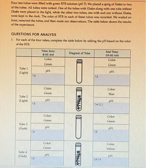 Four test tubes were filled with green BTB solution | Chegg.com
