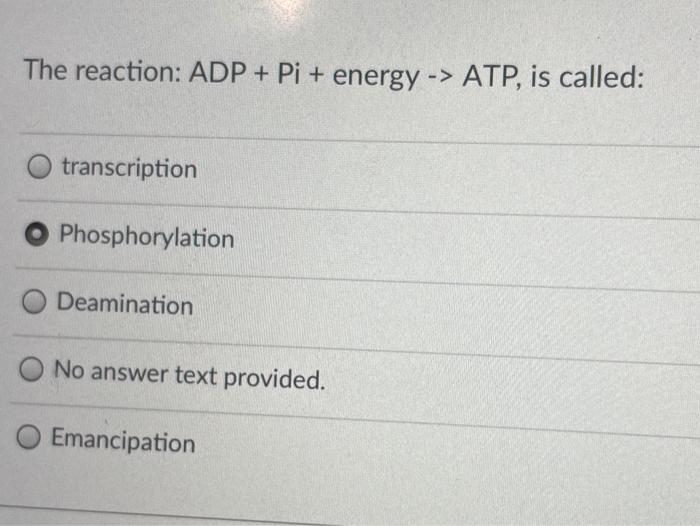 Solved The reaction: ADP + Pi + energy -> ATP, is called: | Chegg.com