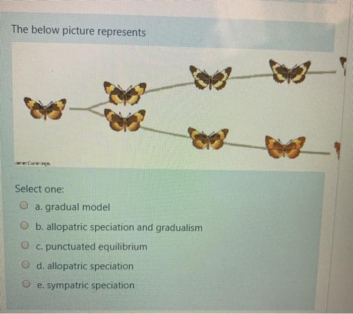 Solved The below picture represents Select one: O a. gradual | Chegg.com
