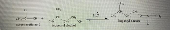 Solved 1.) what is the reaction scheme of isopentyl acetate? | Chegg.com