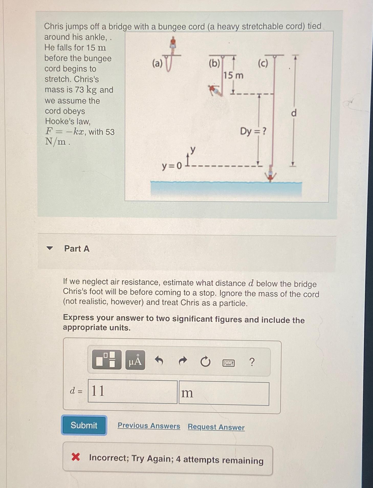 Solved Chris jumps off a bridge with a bungee cord (a heavy | Chegg.com