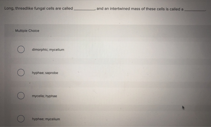 Solved Long, threadlike fungal cells are called and an | Chegg.com