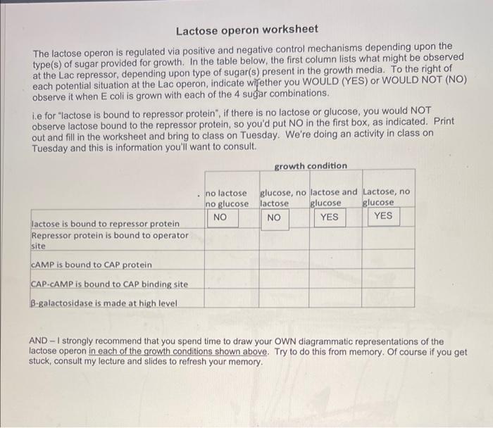 Solved Lactose operon worksheet The lactose operon is | Chegg.com