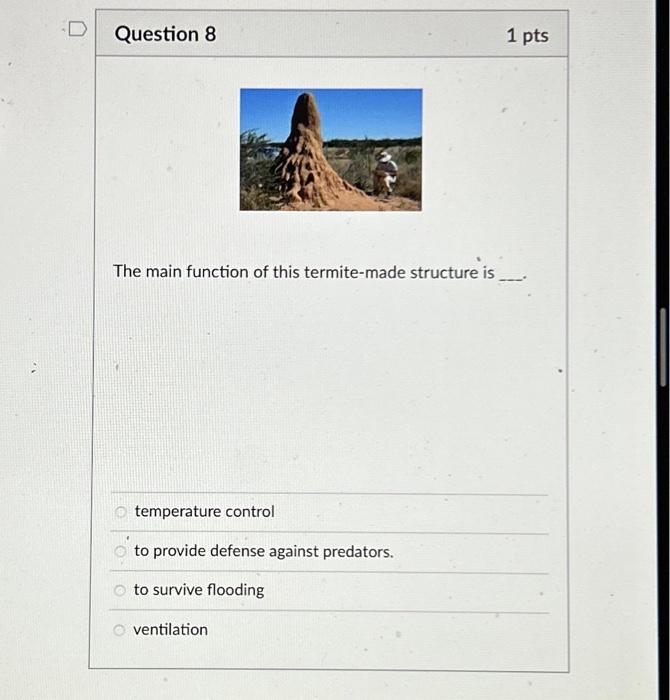 Question 8 The main function of this termite-made | Chegg.com
