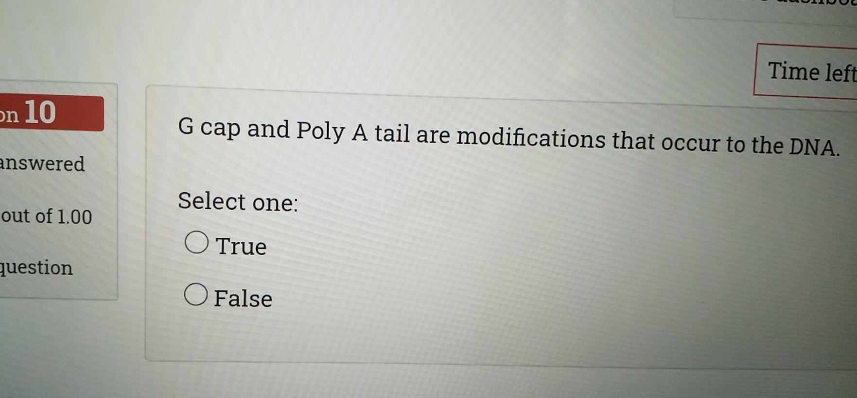 Solved Time left on lo G cap and Poly A tail are | Chegg.com