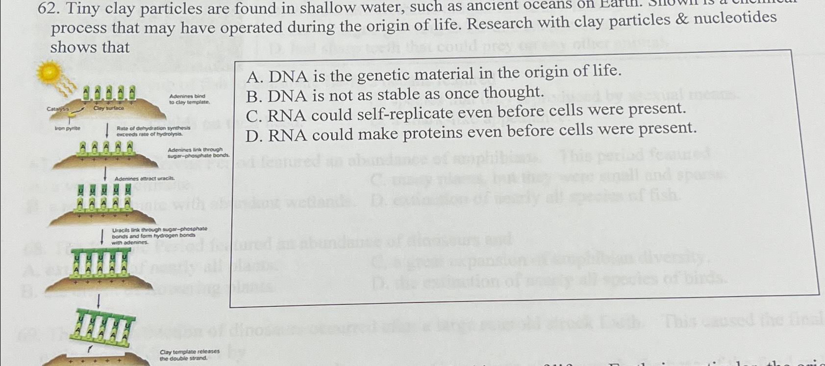 Solved Tiny clay particles are found in shallow water, such | Chegg.com