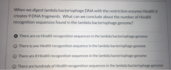 Solved When we digest lambda bacteriophage DNA with the | Chegg.com
