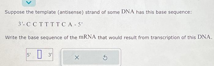 Solved Suppose the template (antisense) strand of some DNA | Chegg.com