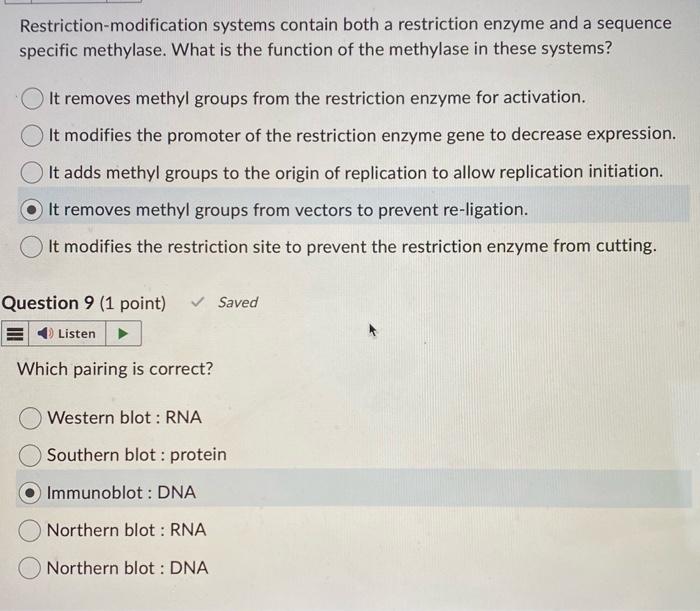 Solved Restriction-modification systems contain both a | Chegg.com