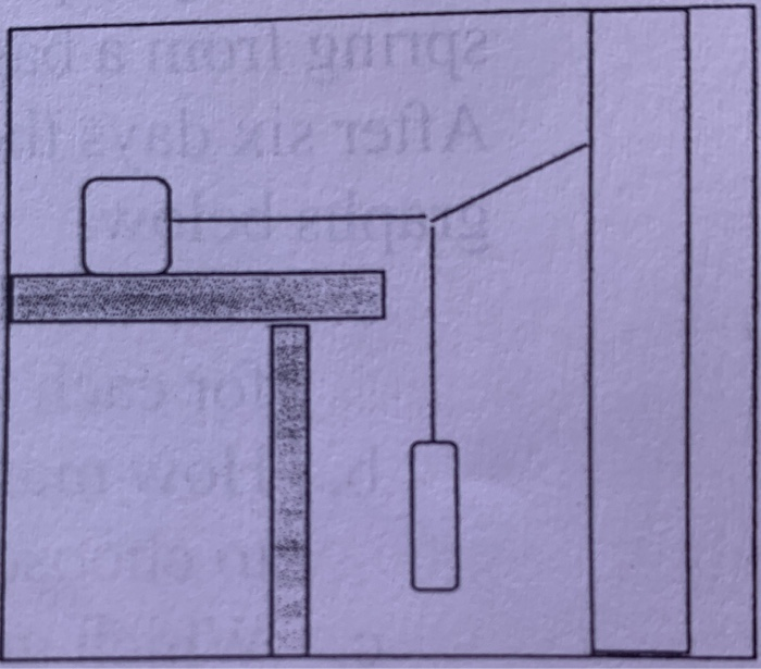 Solved Shown in the diagram ,a block, m = 0.8 kg, sits on a | Chegg.com