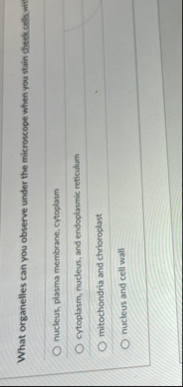 Solved What organelles can you observe under the microscope | Chegg.com