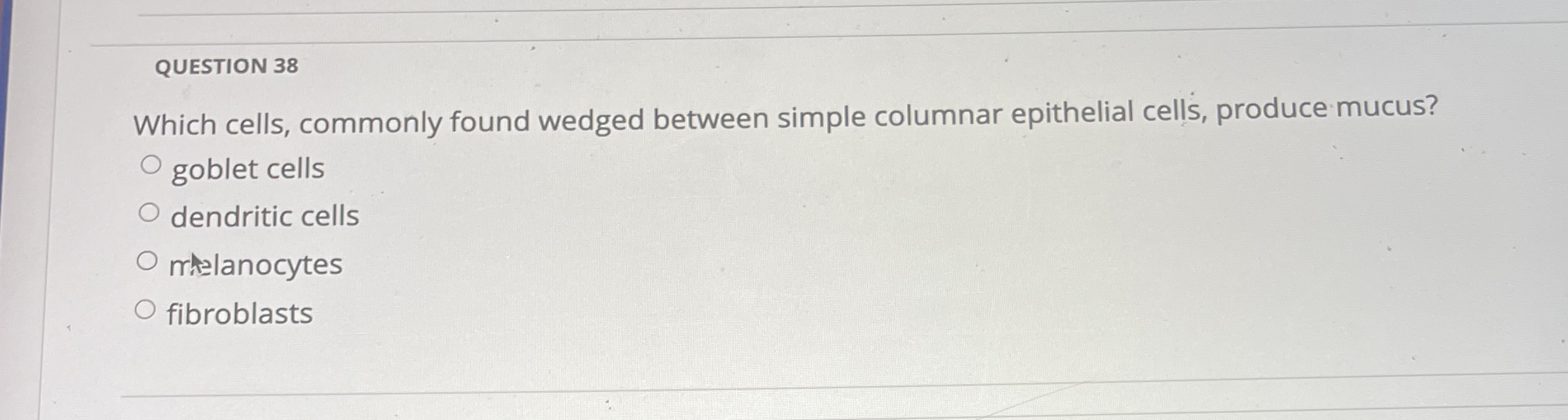 Solved QUESTION 38Which cells, commonly found wedged between | Chegg.com