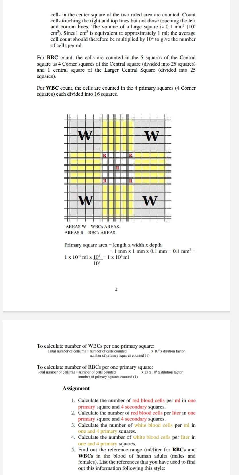 cells in the center square of the two ruled area are | Chegg.com
