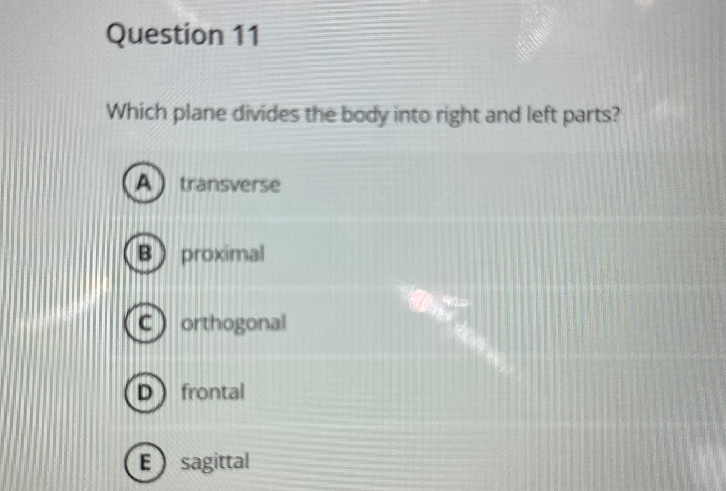 Solved Question 11Which plane divides the body into right | Chegg.com