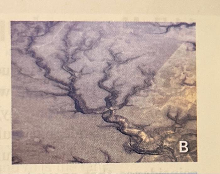 Solved 3. Name the different types of drainage networks. | Chegg.com