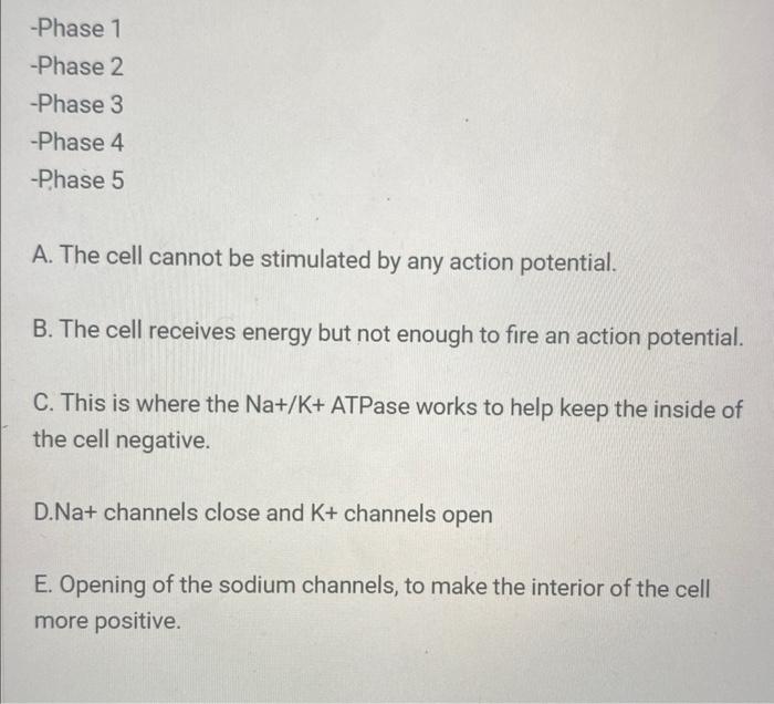 Solved A. The cell cannot be stimulated by any action | Chegg.com