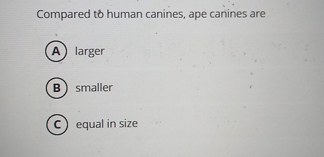 Solved Compared tó ﻿human canines, ape canines | Chegg.com