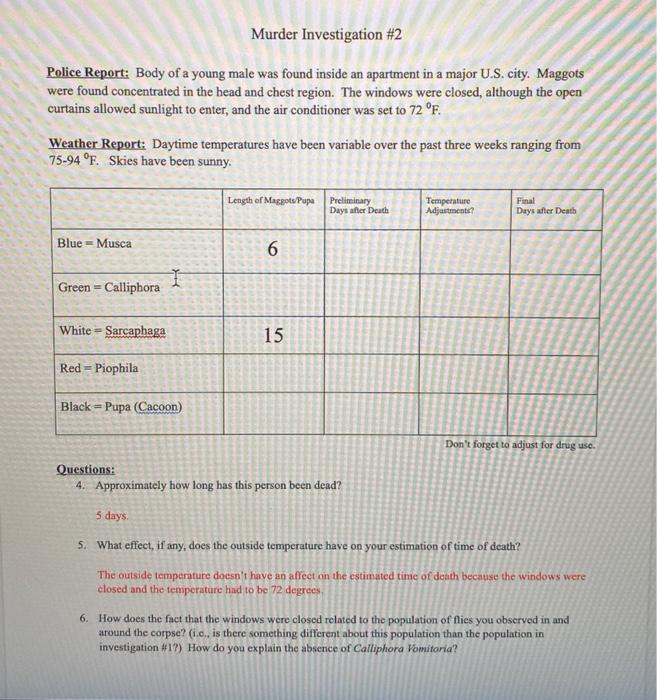 Of Maggots & Murder Entomolgy Lab Murder | Chegg.com