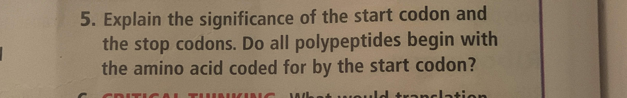 Solved Explain the significance of the start codon and the | Chegg.com