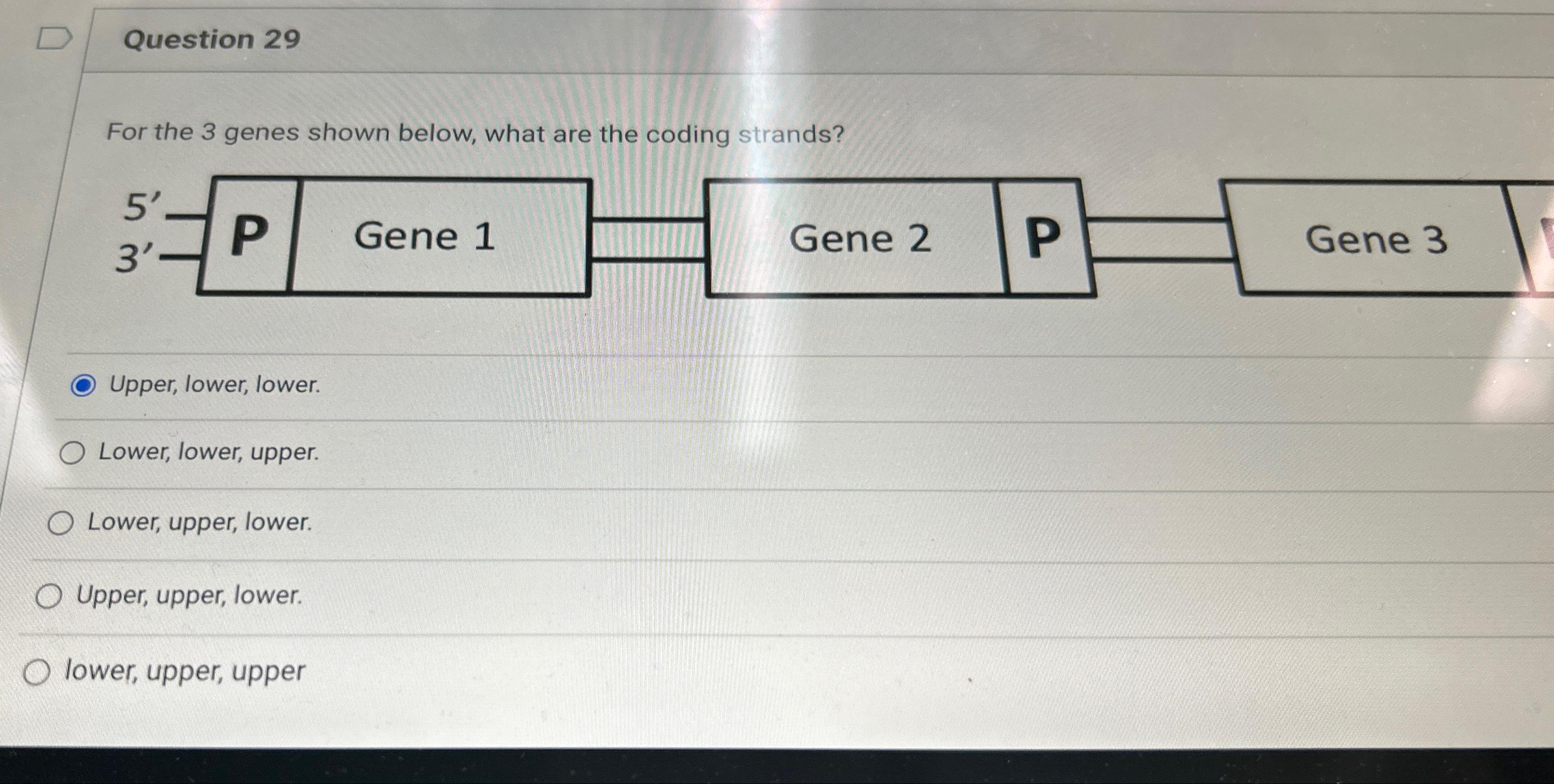 Solved Question 29For the 3 ﻿genes shown below, what are the | Chegg.com