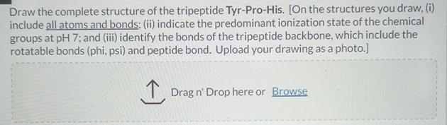 Solved Draw the complete structure of the tripeptide | Chegg.com