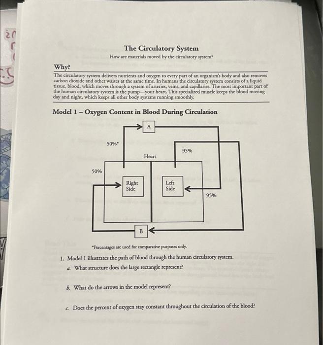 Solved 20 S The Circulatory System How are materials moved | Chegg.com