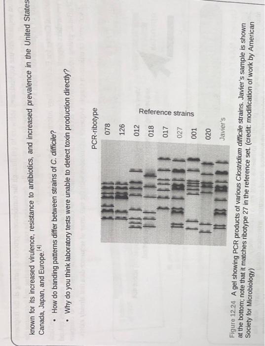 Case in Point Using a NAAT to Diagnose a C. difficile | Chegg.com