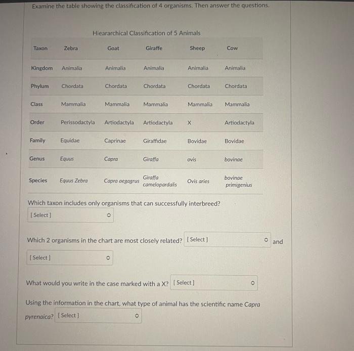 Solved Examine the table showing the classification of 4 | Chegg.com