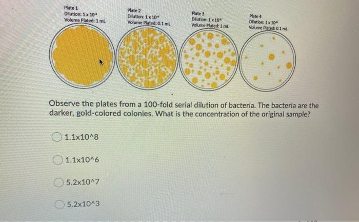 Solved Plate 1 Dilution: 1x 10- Volume Plated: 1 ml Plate 2 | Chegg.com