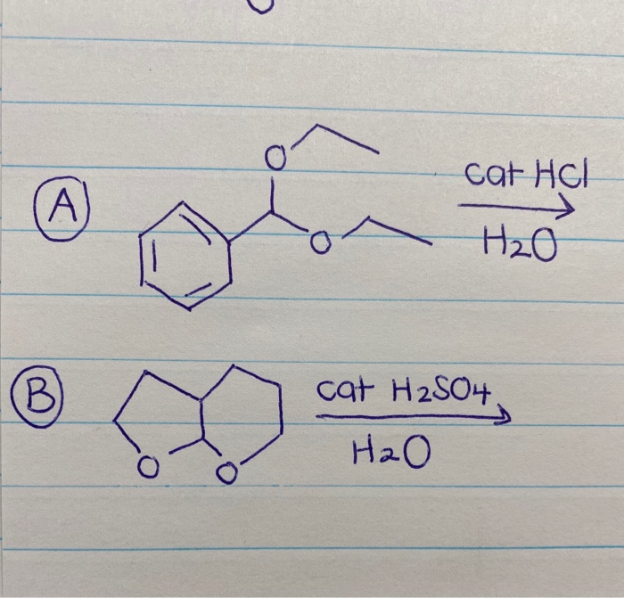 Solved cat H2SO4 H2O | Chegg.com