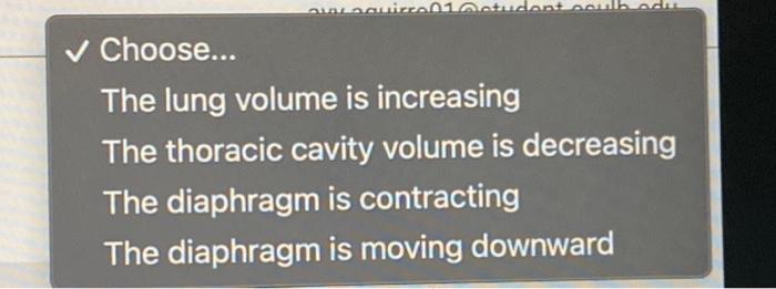 Solved During exhalation, which of the following is true? | Chegg.com