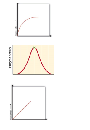 Solved Which graph represents enzyme rate versus substrate | Chegg.com