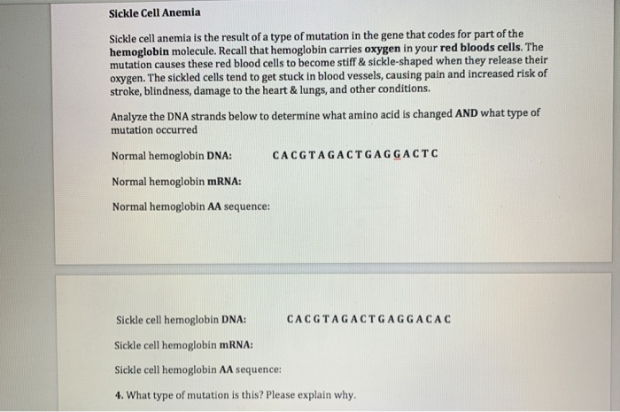 Solved Sickle Cell Anemia Sickle cell anemia is the result | Chegg.com