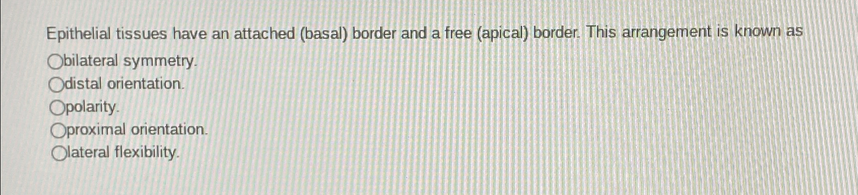 Solved Epithelial tissues have an attached (basal) ﻿border | Chegg.com